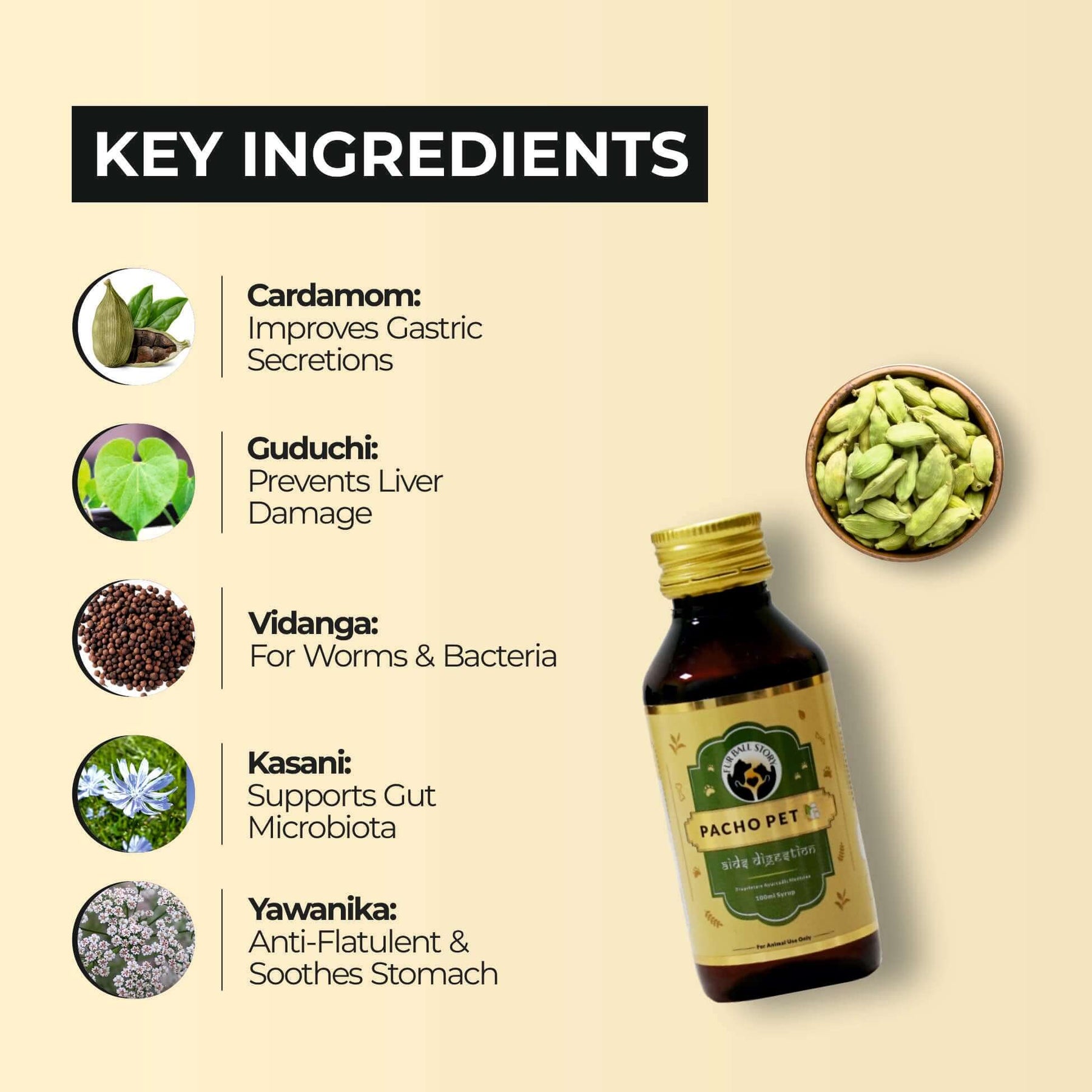 Pacho Pet: Relieves Stomach Problems In Dogs & Cats