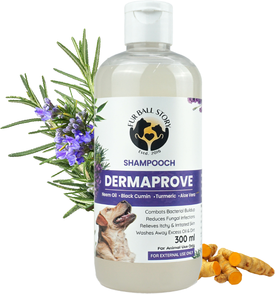 Dermaprove Antifungal Dog Shampoo | Fur Ball Story