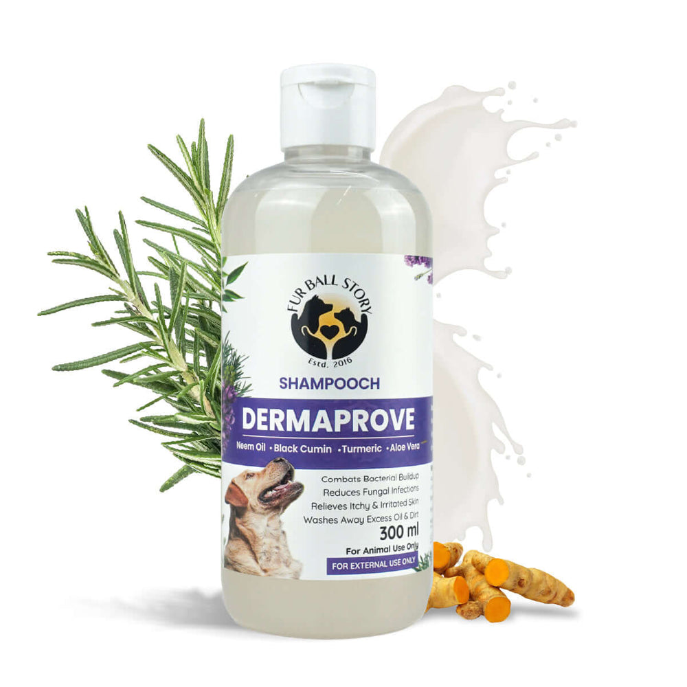 Buy Effective Ayurvedic Dog Shampoo