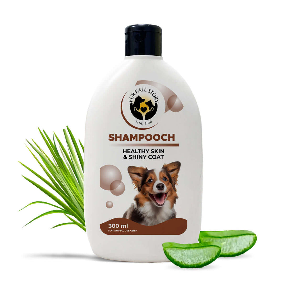 Buy Effective Ayurvedic Dog Shampoo