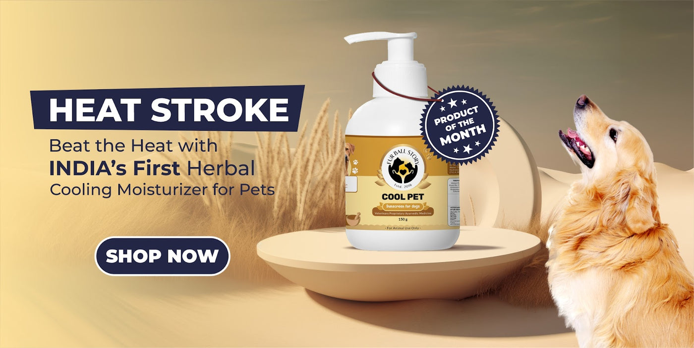 Fur Ball Story - Ayurvedic Healing for Pets